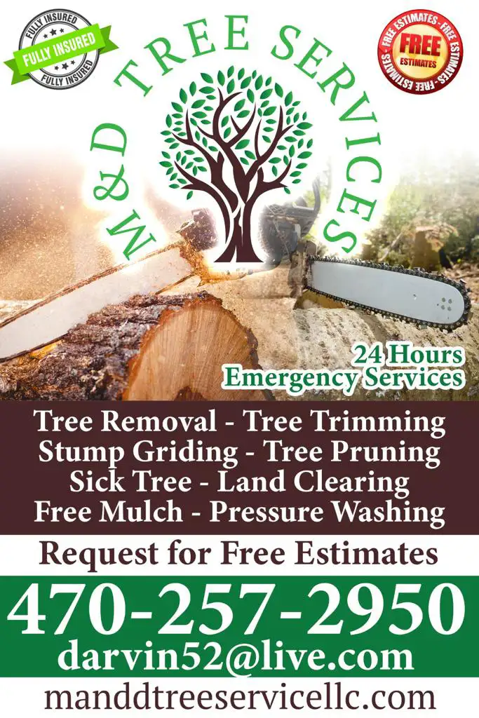 Your Tree Service in Dacula, GA, 30019